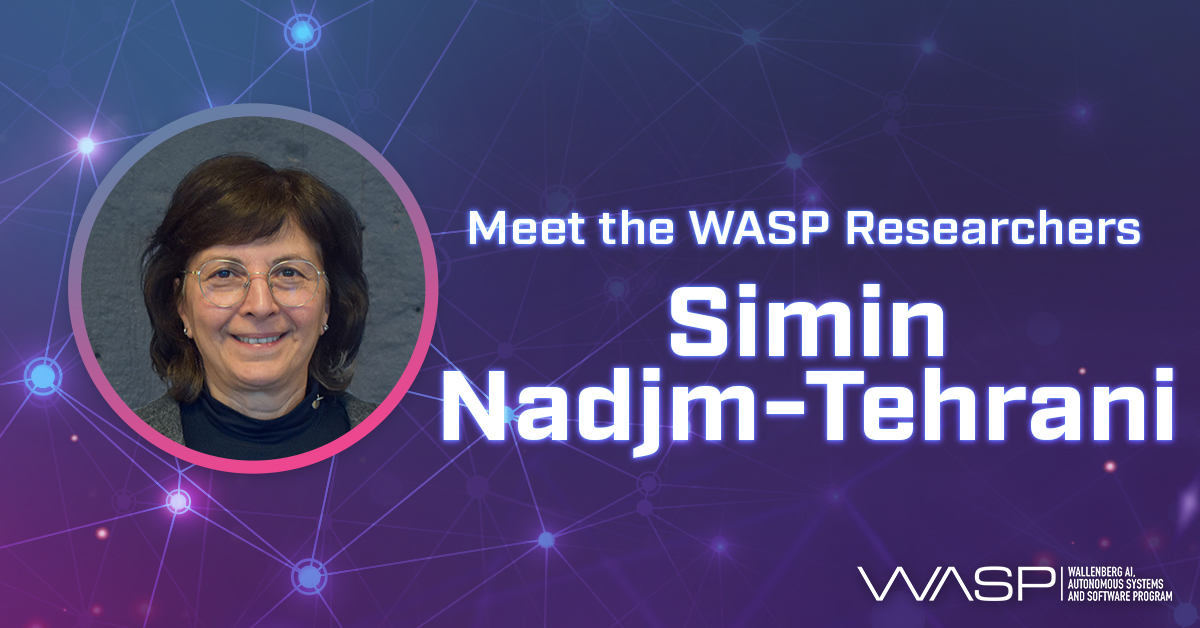 Simin Nadjm-Tehrani – Dependable AI systems | WASP